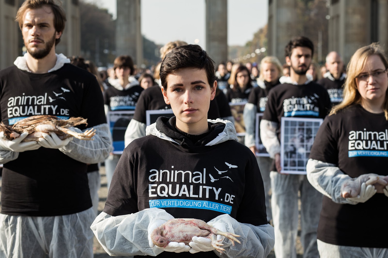 Quinze das ações públicas mais impactantes da Animal Equality | Animal ...