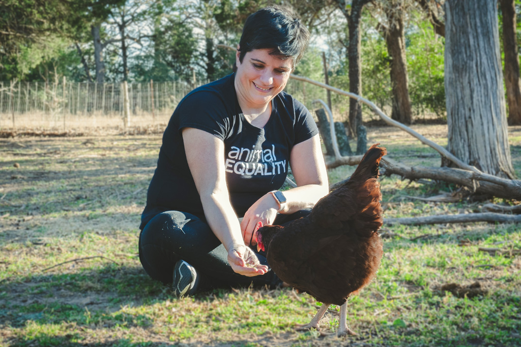 Relatório de Impacto Janeiro-Junho 2022 | Animal Equality Brasil