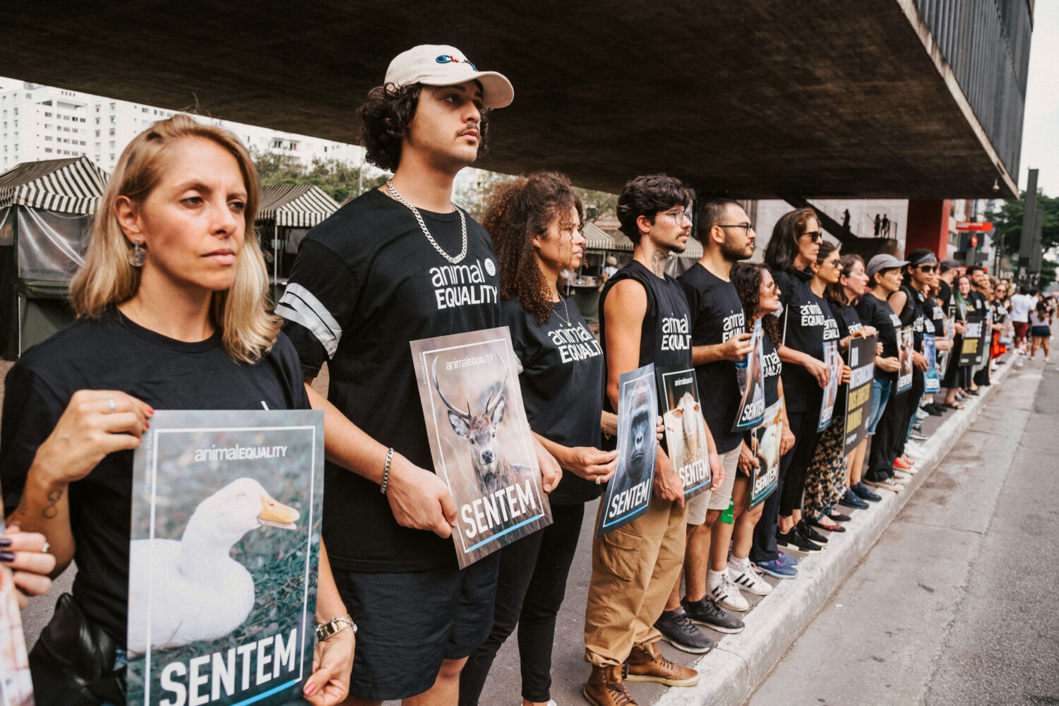 Animal Equality realiza tradicional protesto sobre o Dia Internacional ...